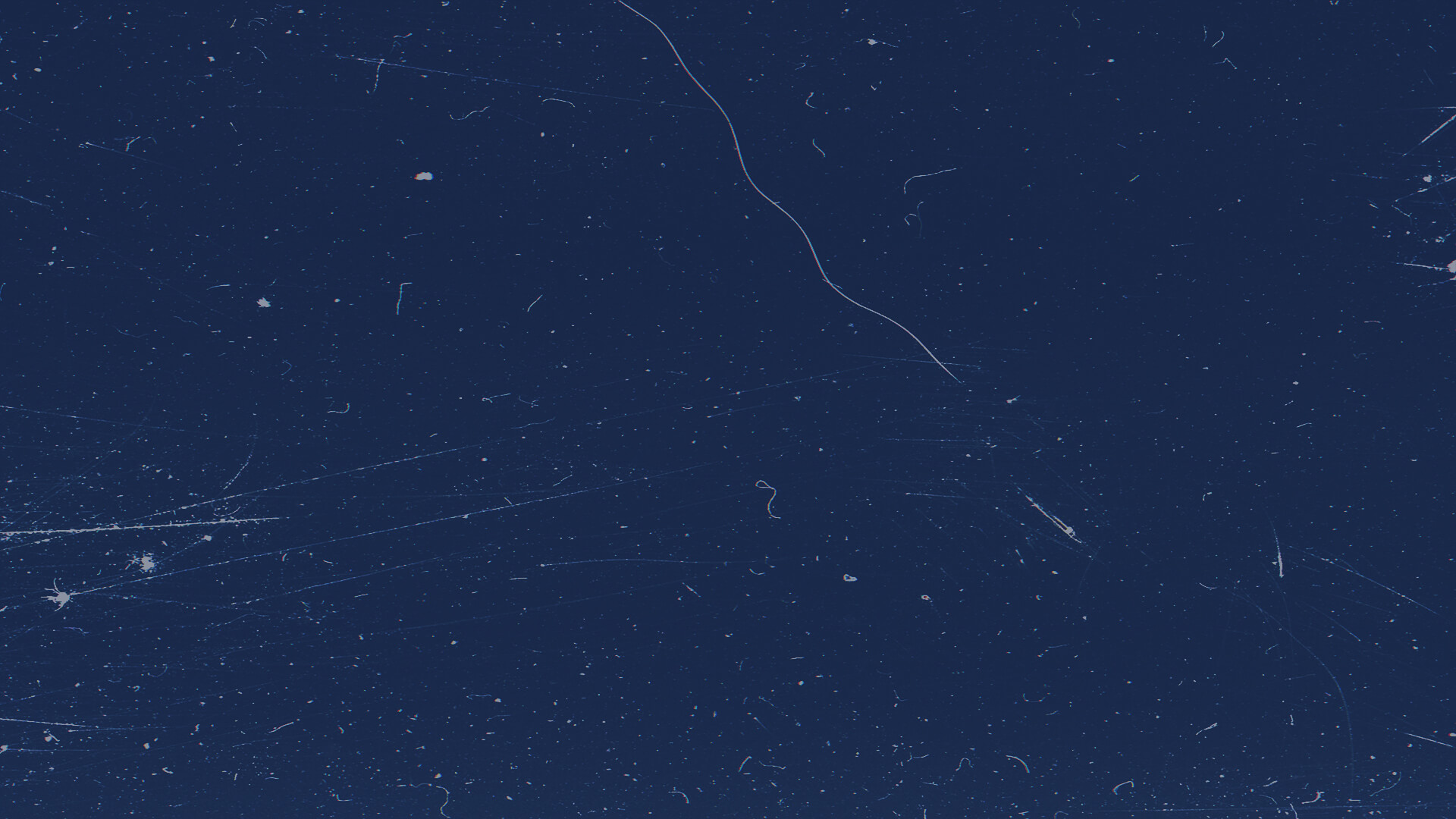 Kripo - Polizei Hamburg